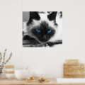 Siamese Cat Poster | Zazzle