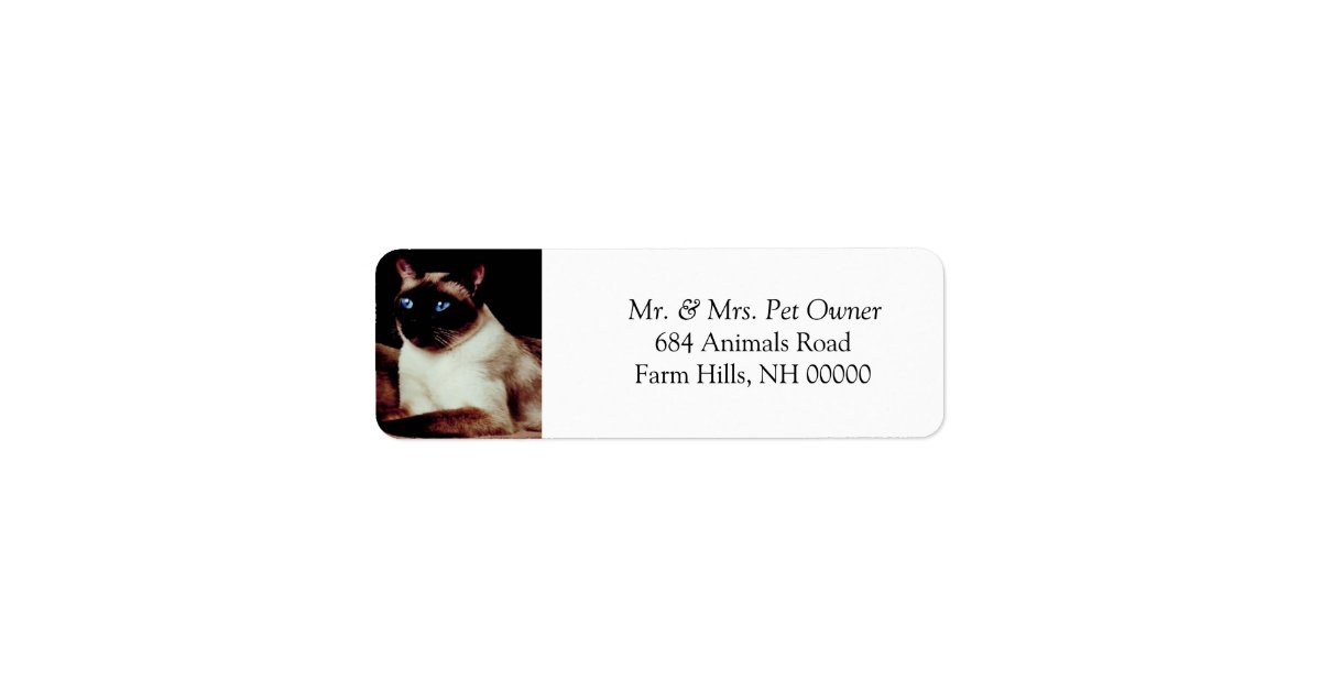 Siamese Cat Return Address Stickers Labels | Zazzle