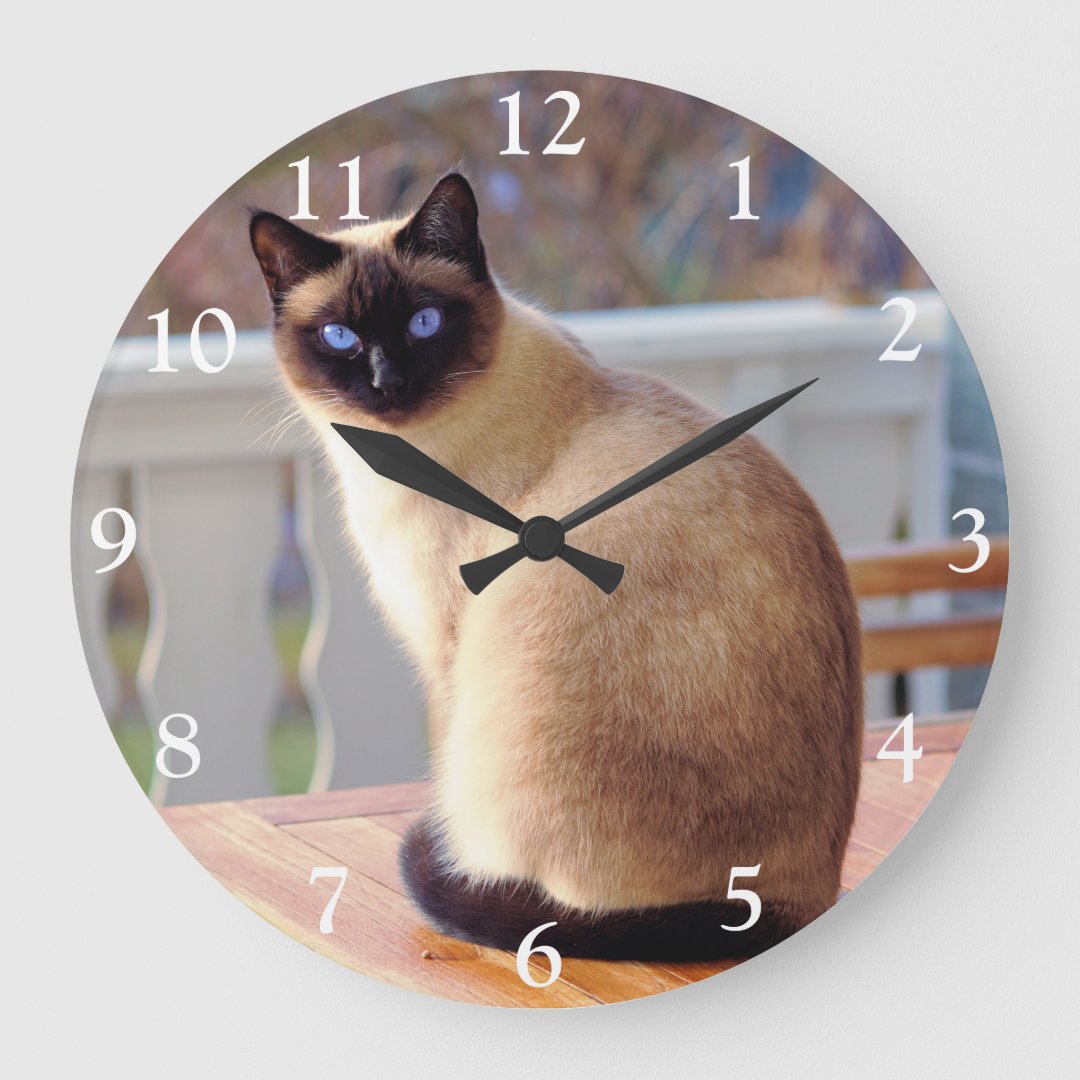 Siamese Cat with Blue Eyes Large Clock | Zazzle