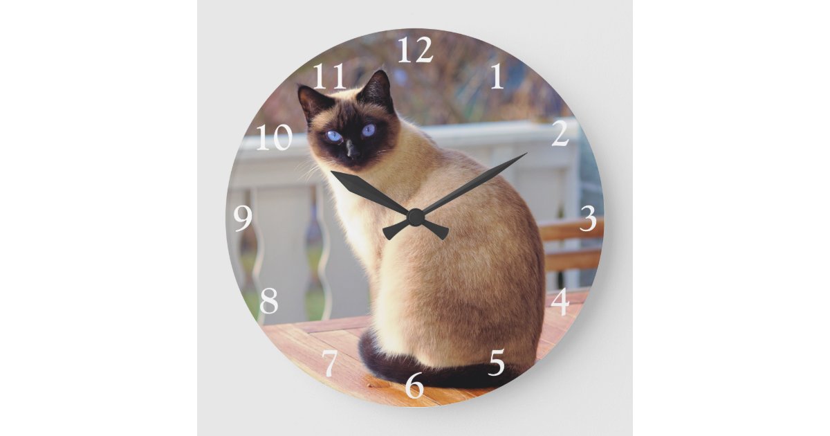 Siamese Cat with Blue Eyes Large Clock | Zazzle