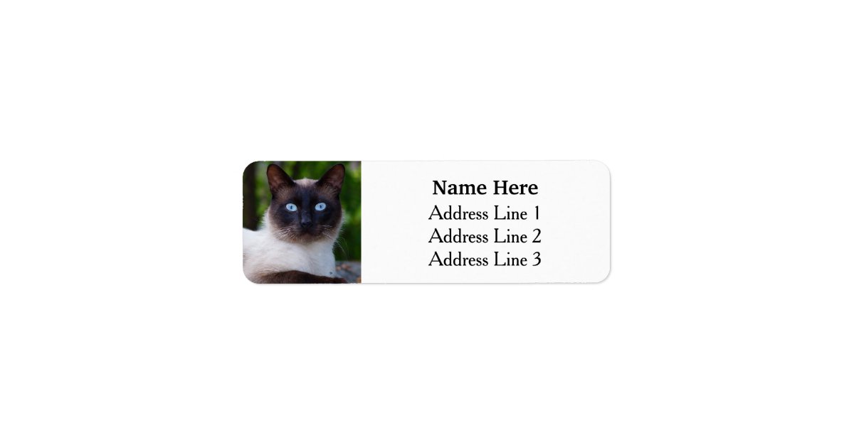 Siamese Cat with Blue Eyes Return Address Label | Zazzle