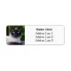 Siamese Cat with Blue Eyes Return Address Label | Zazzle
