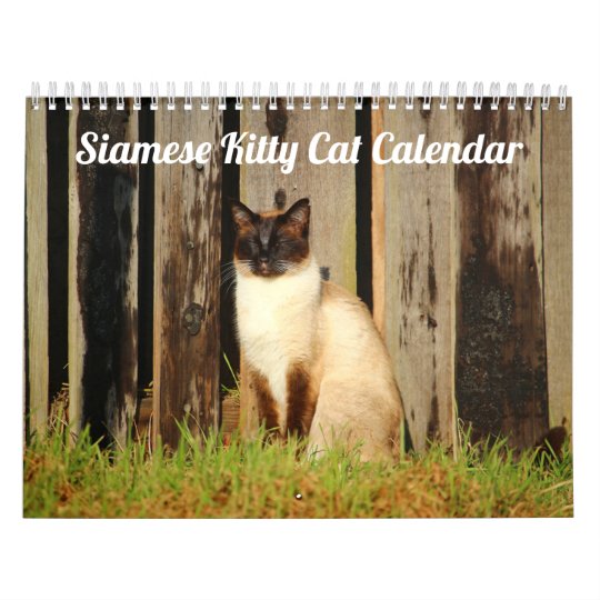 Siamese Kitty Cat Cute 2021 Calendar | Zazzle.com