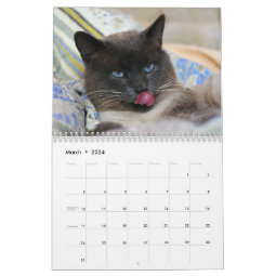 Siamese Kitty Cat Cute 2021 Calendar | Zazzle