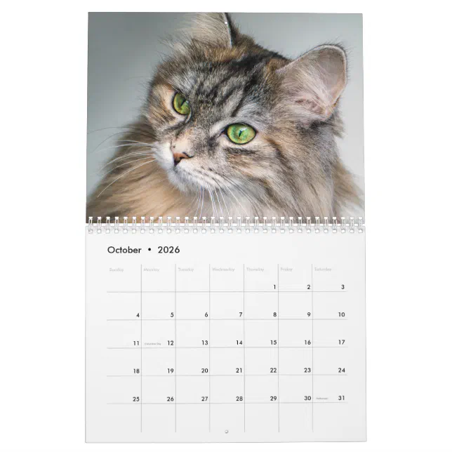Siberian Cat Calendar 2019 | Zazzle