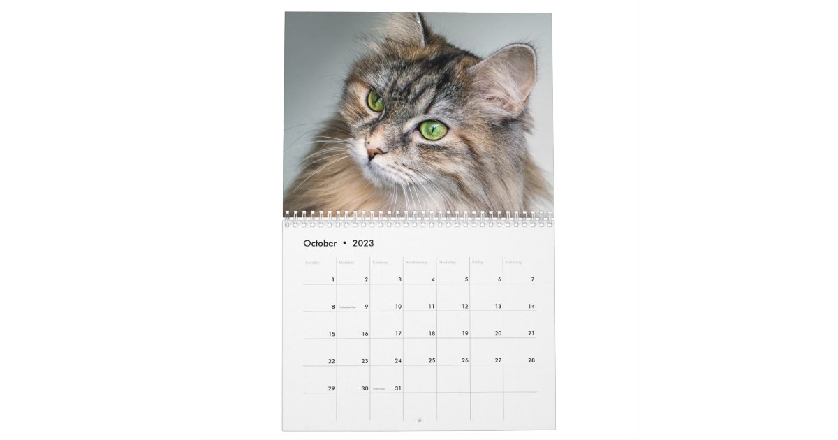 Siberian Cat Calendar 2019 | Zazzle