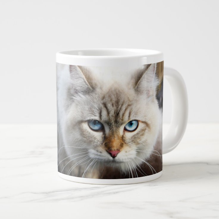Siberian Cat In A Autumn Forest Large Coffee Mug | Zazzle