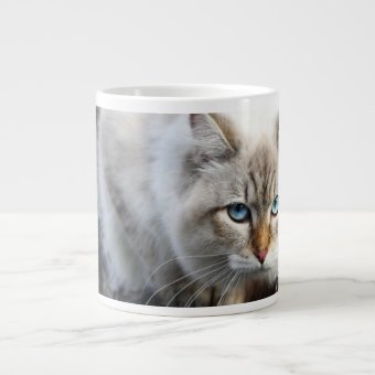 Siberian Cat In A Autumn Forest Large Coffee Mug | Zazzle