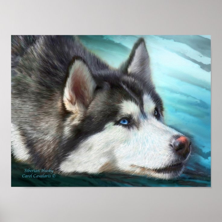 Siberian Husky Art Poster/Print Poster | Zazzle