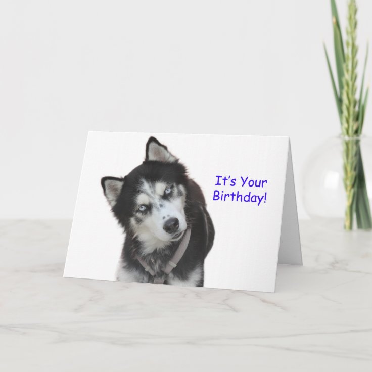 Siberian Husky Birthday Card | Zazzle