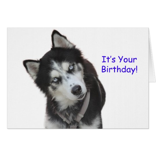 Siberian Husky Birthday Card | Zazzle.com