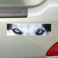 Siberian husky blue eyes bumper sticker | Zazzle