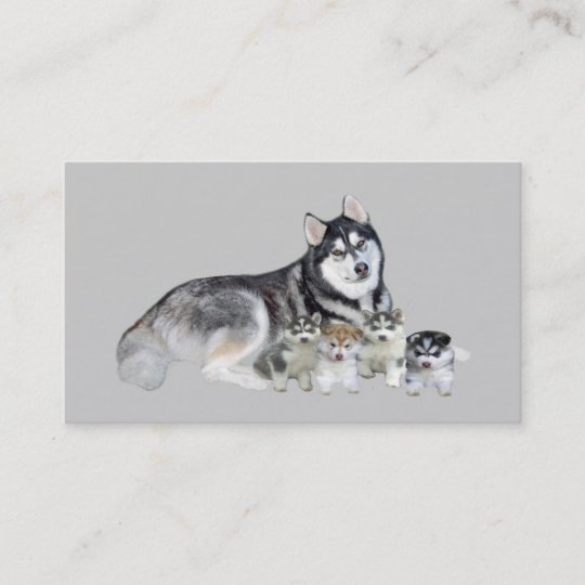 Siberian Husky Breeder Business Card | Zazzle.com