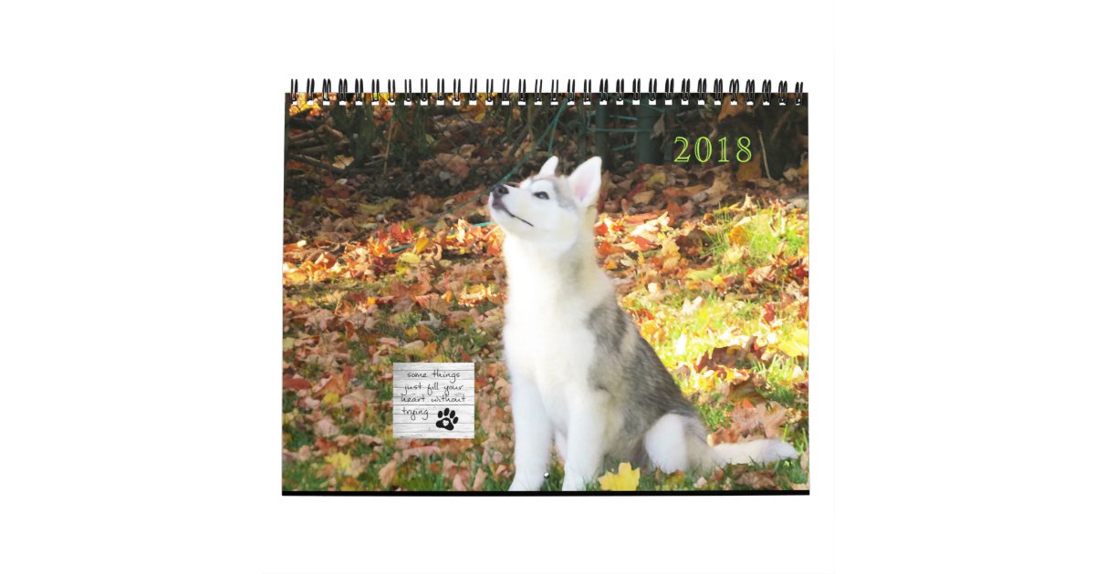 Siberian Husky Calendar | Zazzle