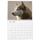 Siberian Husky Dogs Wall Calendar | Zazzle