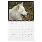 Siberian Husky Dogs Wall Calendar | Zazzle