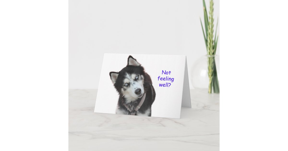 Siberian Husky Get Well Card | Zazzle