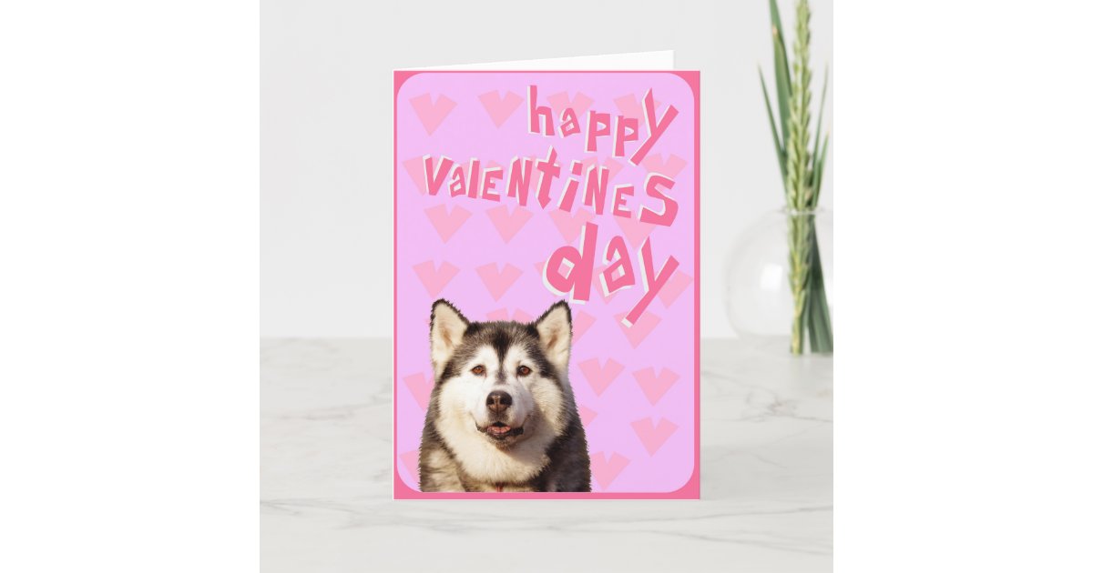 Siberian Husky Happy Valentine's Day Greeting Card | Zazzle