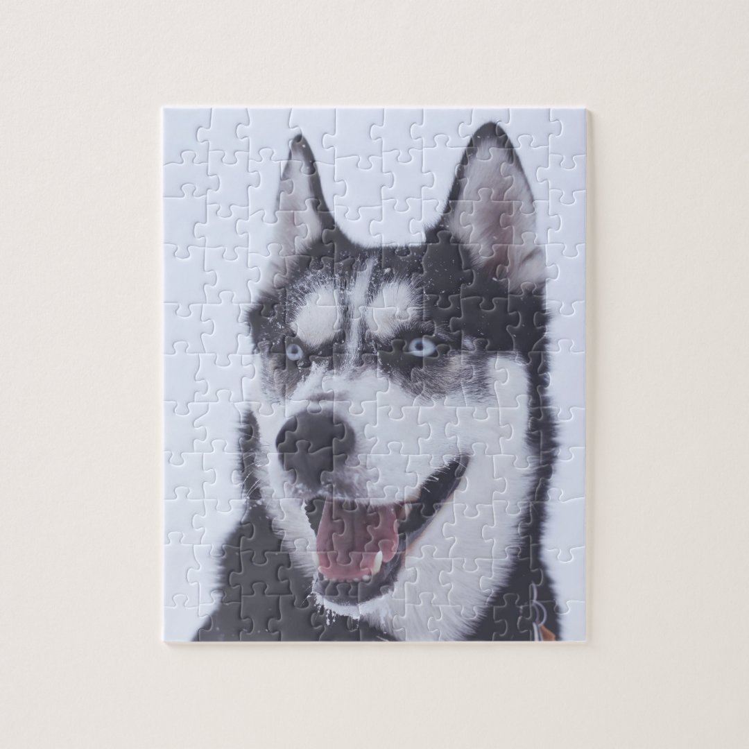Siberian Husky Jigsaw Puzzle | Zazzle