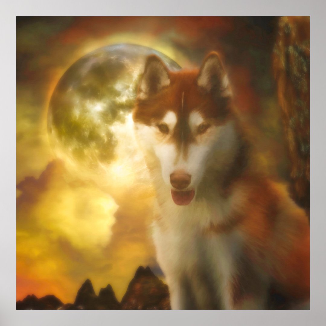 SIBERIAN HUSKY MOON KINGDOM POSTER | Zazzle