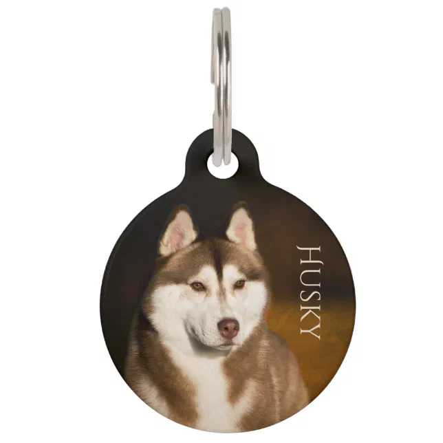 Siberian Husky Pet ID Tag | Zazzle