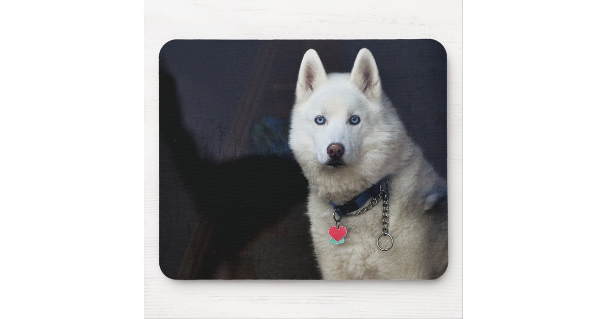 Siberian Husky Photo Mouse Pad | Zazzle