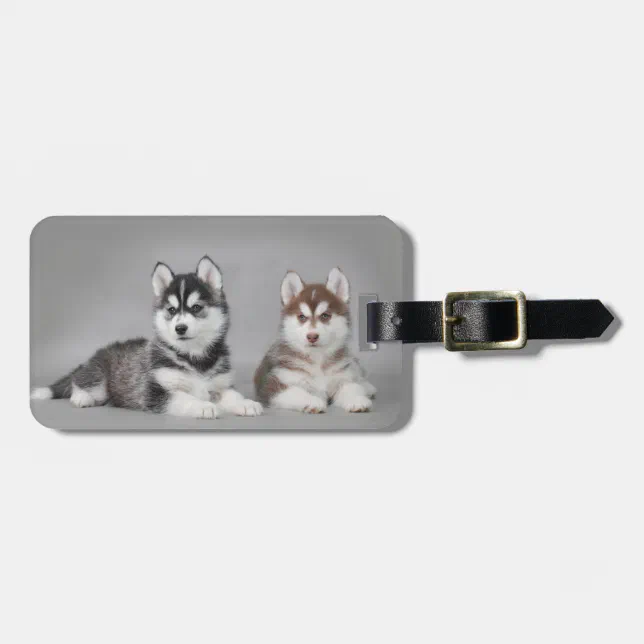 Siberian husky puppies luggage tag | Zazzle