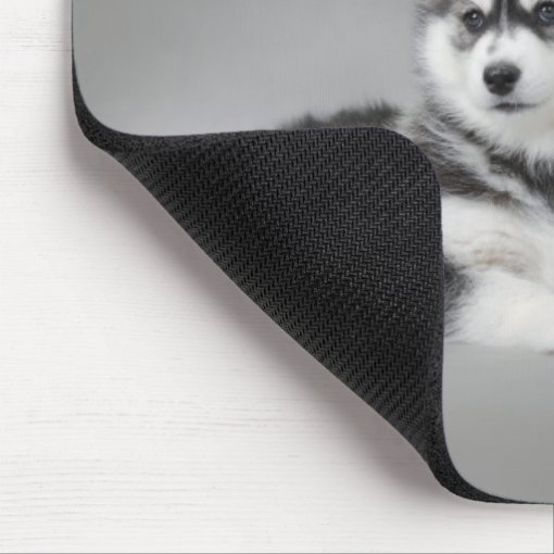 Siberian husky puppies mouse pad | Zazzle