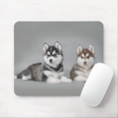 Siberian husky puppies mouse pad | Zazzle