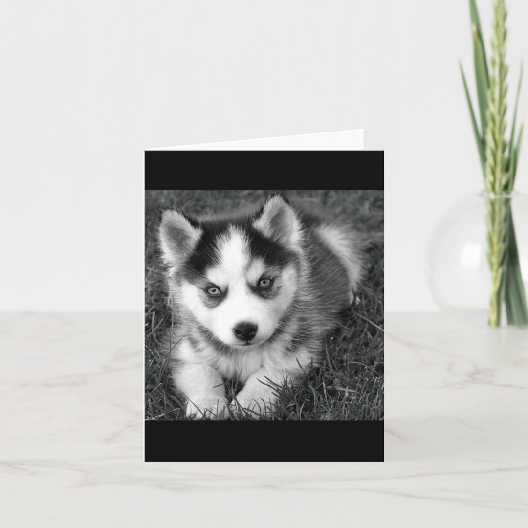 Siberian Husky Puppy Dog Blank Greeting Note Card | Zazzle