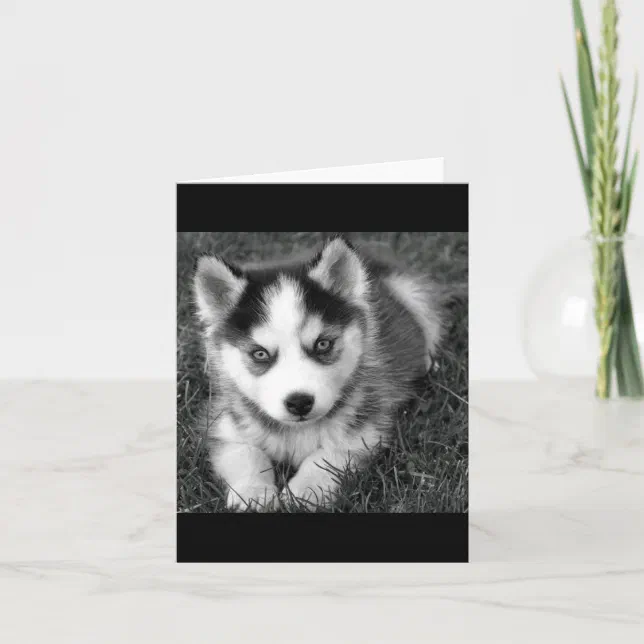 Siberian Husky Puppy Dog Blank Greeting Note Card | Zazzle