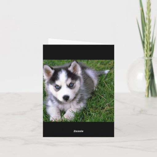 Siberian Husky Puppy Dog Blank Greeting Note Card | Zazzle