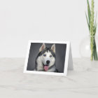 Siberian Husky Puppy Dog Blank Greeting Note Card | Zazzle.com