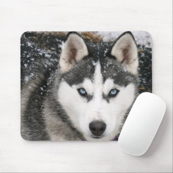 Siberian Husky Puppy Dog in Snow Mousepad | Zazzle