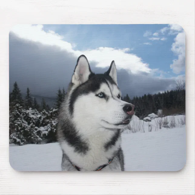 Siberian Husky Puppy Dog Winter Snow Mouse Pad | Zazzle