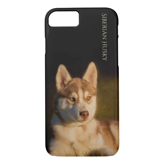 Siberian Husky Puppy Phone Case | Zazzle
