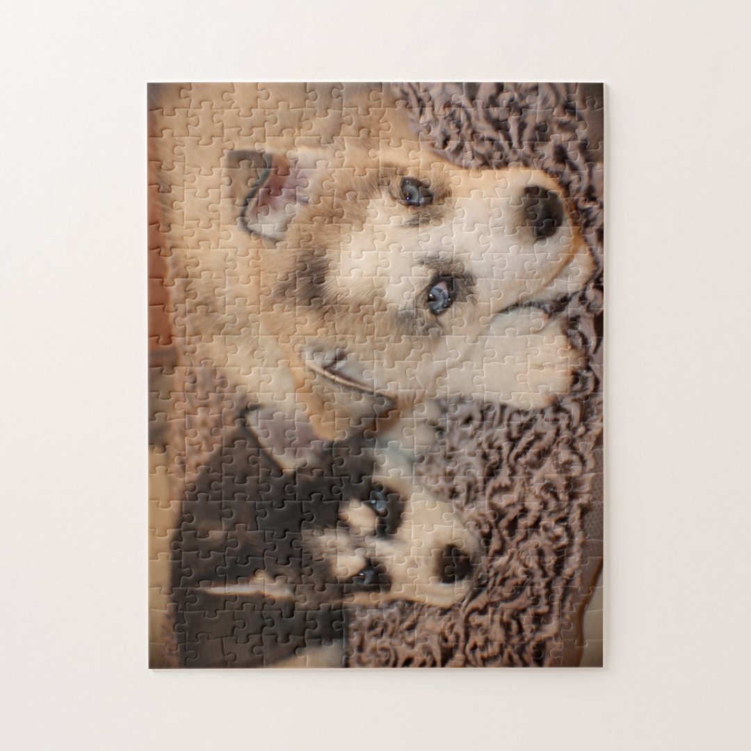 Siberian Husky Puppy Puzzle | Zazzle