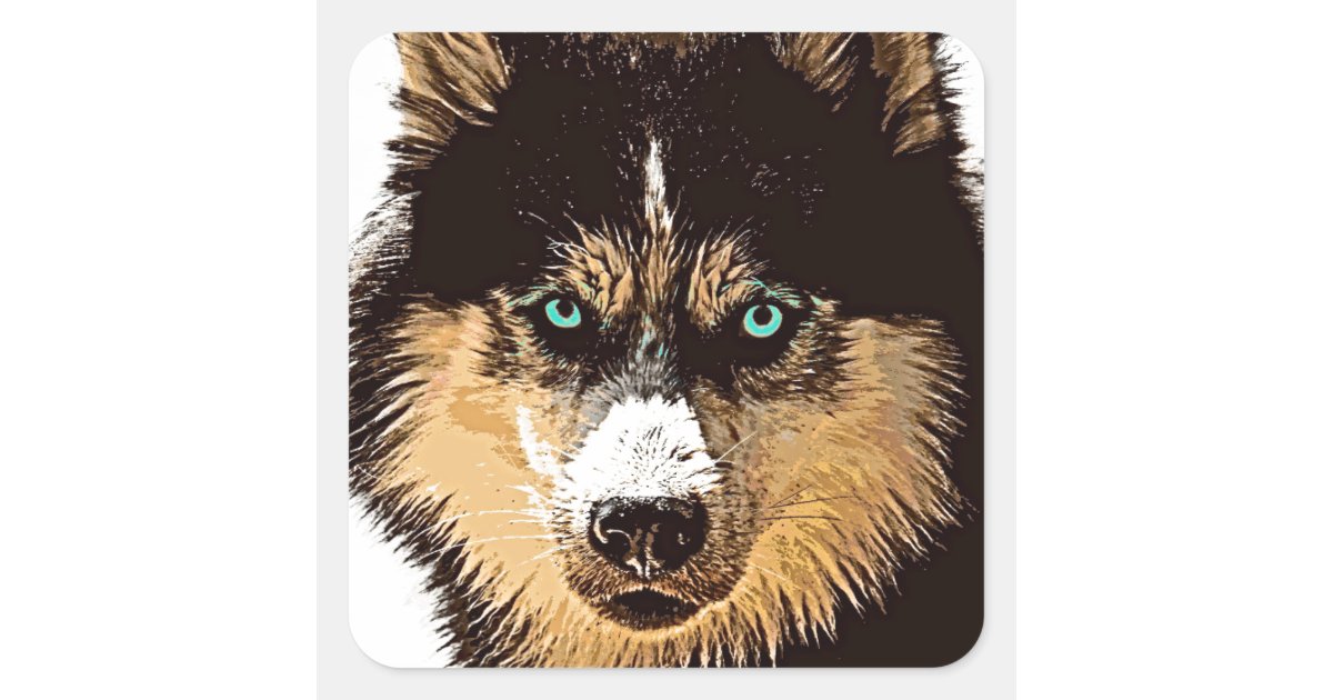 Siberian Husky Square Sticker | Zazzle