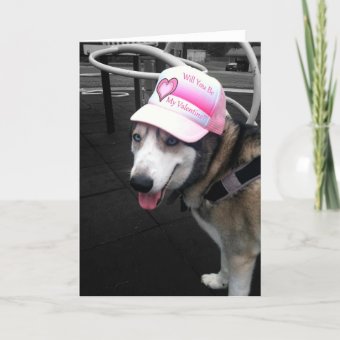 Siberian Husky Valentine Card | Zazzle