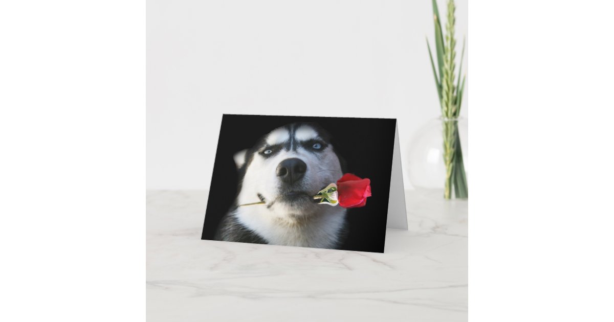 Siberian Husky Valentine's Day Card | Zazzle
