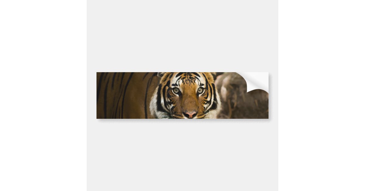 Siberian Tiger Bumper Sticker | Zazzle