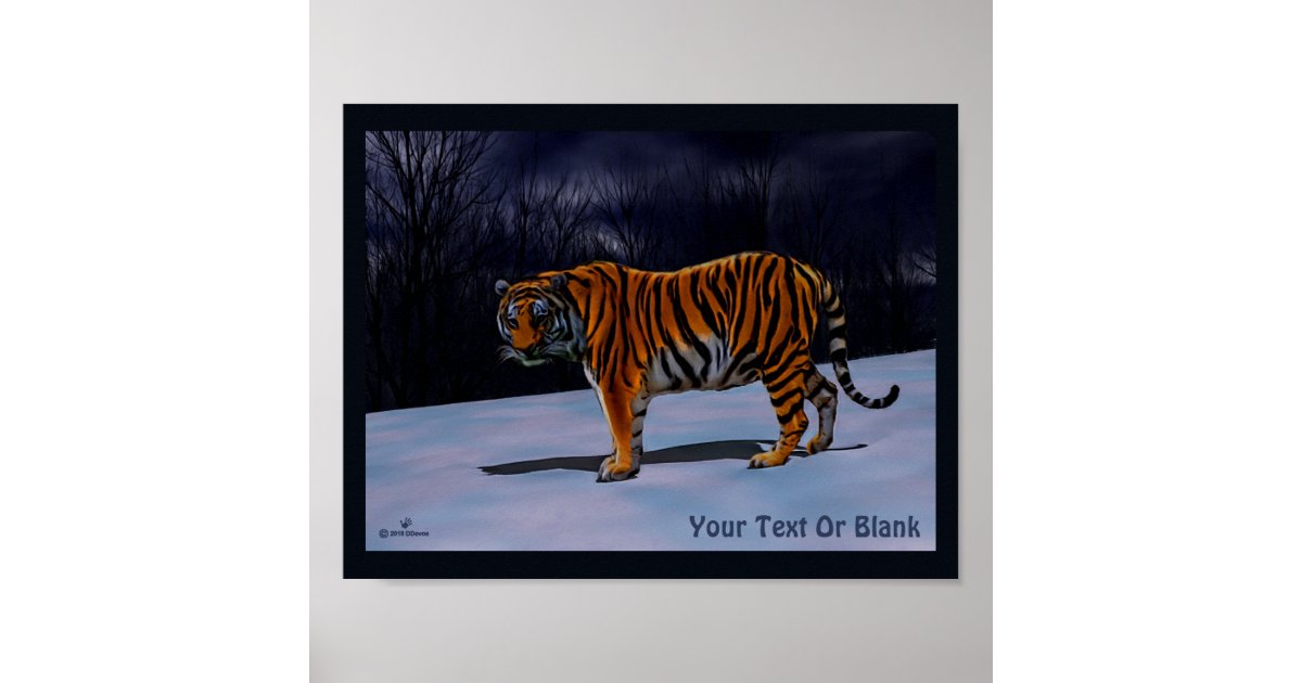 Siberian Tiger Poster | Zazzle