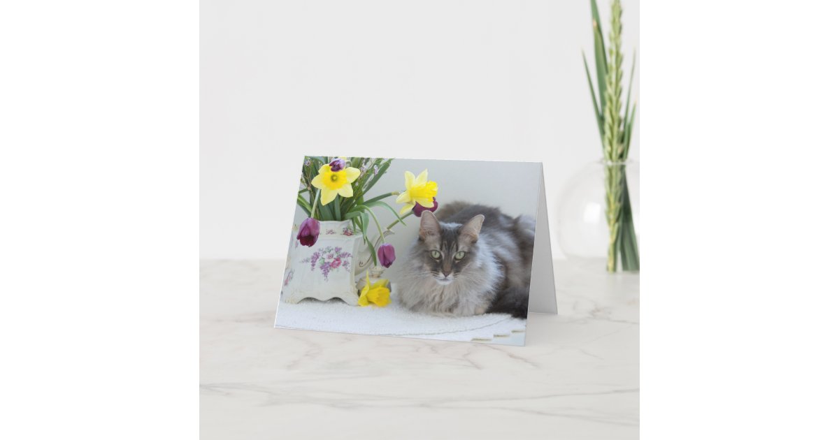 Siblings Day greeting card | Zazzle