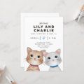 Siblings duo birthday party with two kittens invi invitation | Zazzle