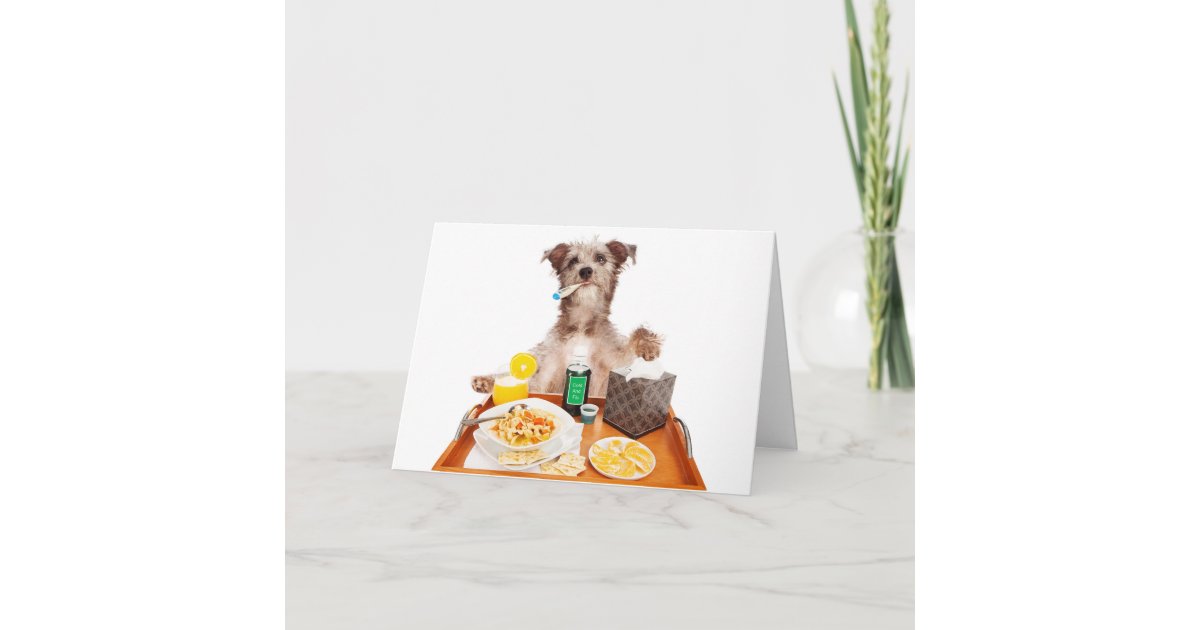 Sick as a Dog greeting card | Zazzle