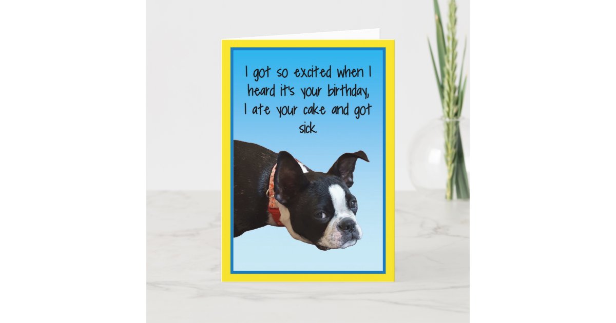 Sick Birthday Boston Card | Zazzle
