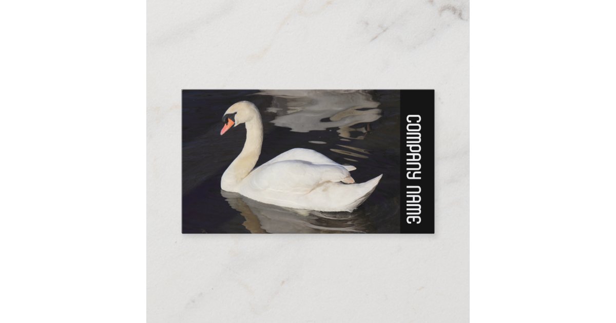 Side Band - Mute Swan Business Card | Zazzle