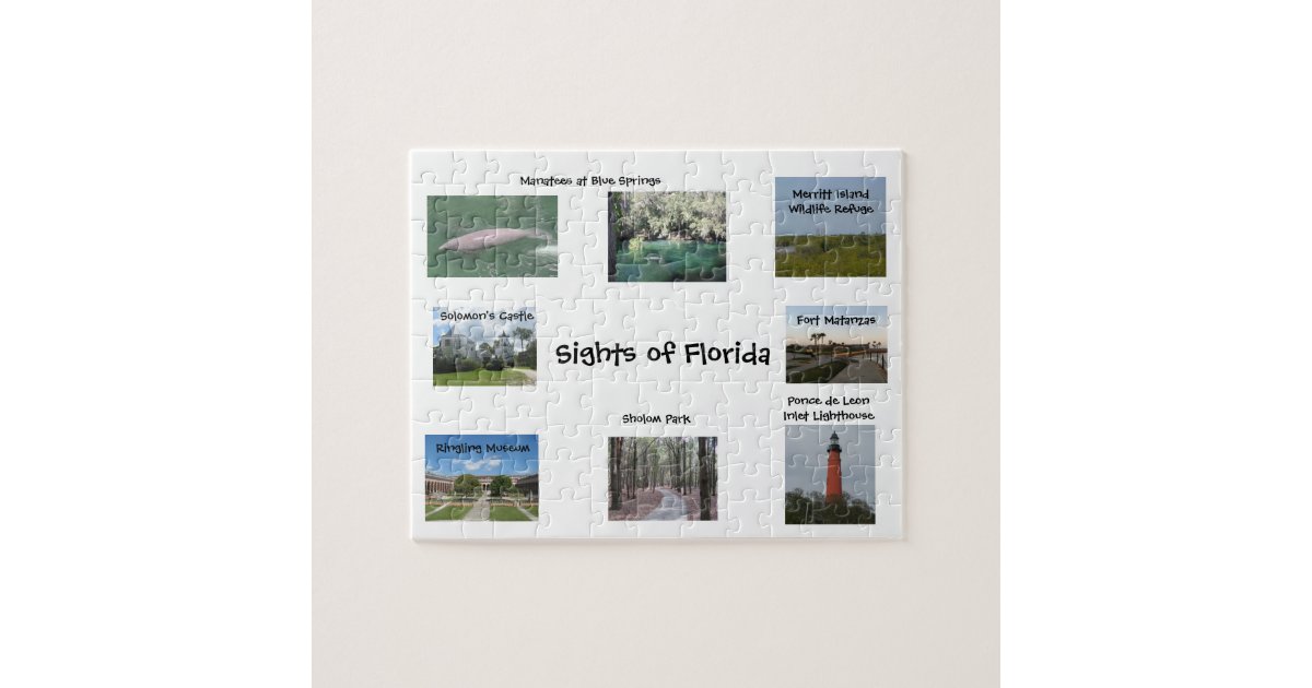 Sights of Florida Puzzle | Zazzle