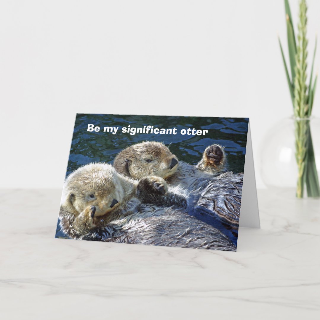 Significant otter card | Zazzle