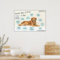 Signs of Cancer Poster | Zazzle